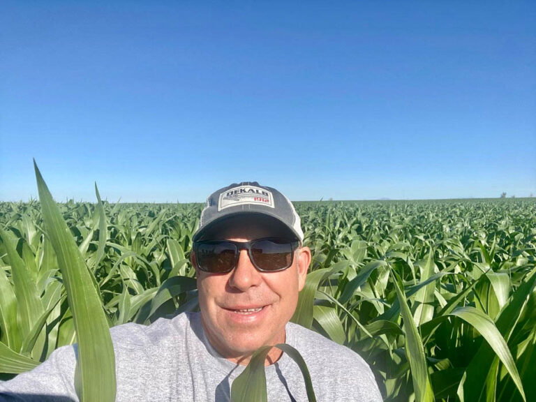Dekalb Corn – Chapman Seed & Crop Consulting